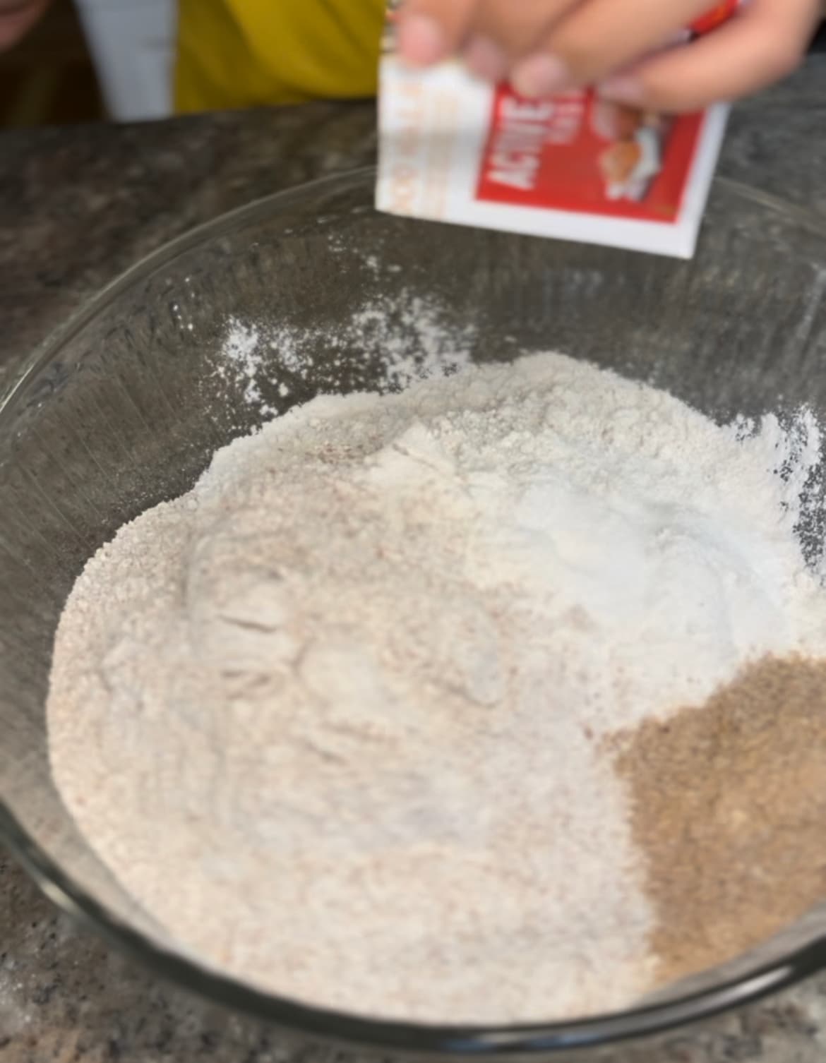 Aish Baladi Recipe | Egyptian Pita Bread with Fiber